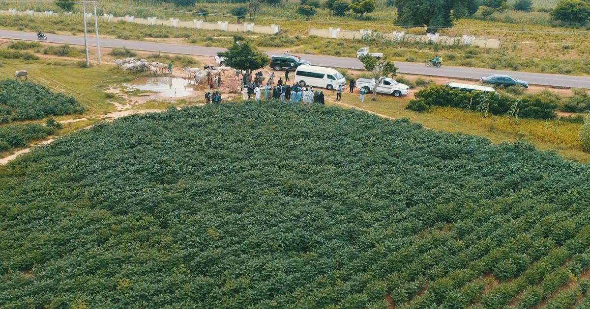 Addressing global food insecurity: A silver lining for IsDB Member ...